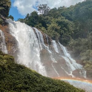 Doi Inthanon National Park: Top Activities for Your Visit - Scroll The ...